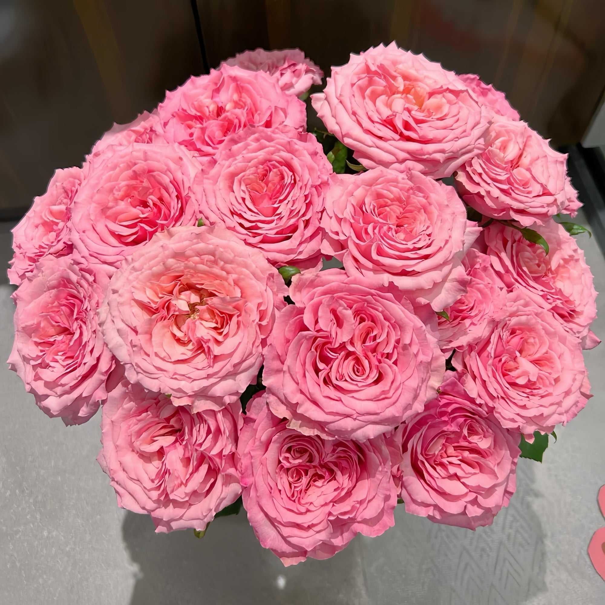 🌹Top 5 Most Fragrant Roses – Discover the Scents that Steal Your Heart ...
